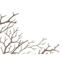 Dry branch Royalty Free Vector Image - VectorStock