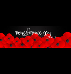 Remembrance day poppy wreath with a place Vector Image
