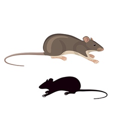 Mouse with brown fur Royalty Free Vector Image