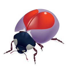 Smiling heart Royalty Free Vector Image - VectorStock