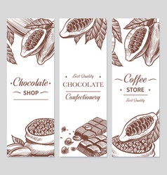 Cocoa banner template chocolate cocoa beans Vector Image