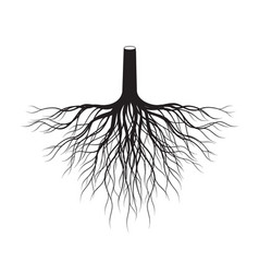 Set black tree roots Royalty Free Vector Image