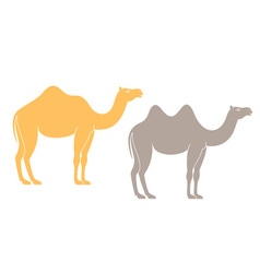 Cartoon funny camel running Royalty Free Vector Image
