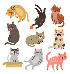 Cat set collection Royalty Free Vector Image - VectorStock