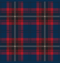 Blue and red tartan plaid seamless pattern Vector Image