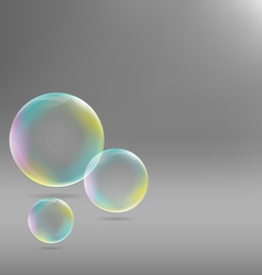 Bubbles isolated on white Royalty Free Vector Image