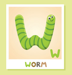 W is for worm letter w worm cute animal alphabet Vector Image