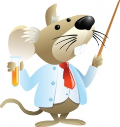 Dummy Royalty Free Vector Image - VectorStock