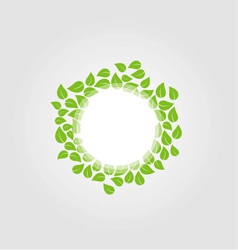 Spring fresh green leaves Royalty Free Vector Image