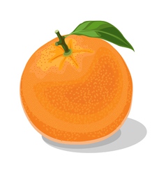 Fresh cartoon orange isolated on white background Vector Image