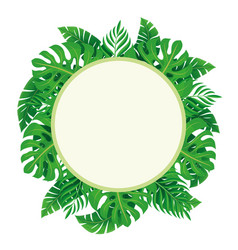 White label with tropic leaves Royalty Free Vector Image