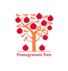 Pomegranate tree growth stages fruit life Vector Image