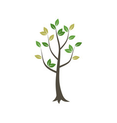 Tree wood Royalty Free Vector Image - VectorStock