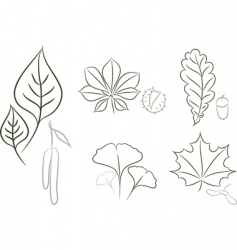 Leaf sketch Royalty Free Vector Image - VectorStock