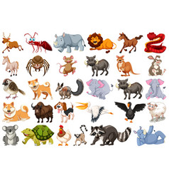 Set wild animals Royalty Free Vector Image - VectorStock
