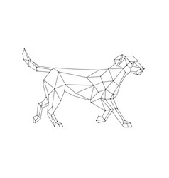 Labrador walking wireframe low polygon Royalty Free Vector