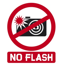 Compact digital camera Royalty Free Vector Image
