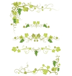 Vine nature frame Royalty Free Vector Image - VectorStock