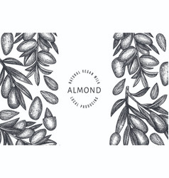 Hand drawn sketch almond design template organic Vector Image