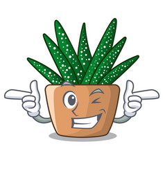 Wink character small zebra cactus plant on pot Vector Image