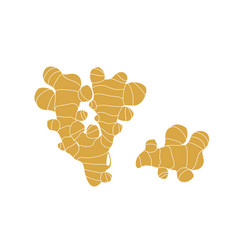 Ginger root 3d realistic Royalty Free Vector Image