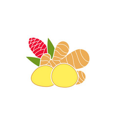 Red ginger flower Royalty Free Vector Image - VectorStock