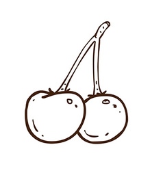 Cherry drawing isolated hand drawn two Royalty Free Vector