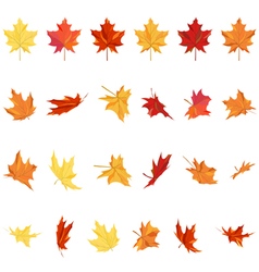 Autumn tree set Royalty Free Vector Image - VectorStock