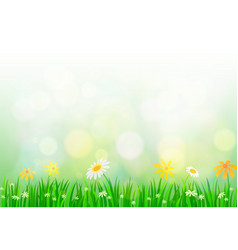 Spring background with light Royalty Free Vector Image