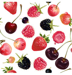 Berry mix falling banner Royalty Free Vector Image