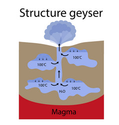 The formation geyser Royalty Free Vector Image