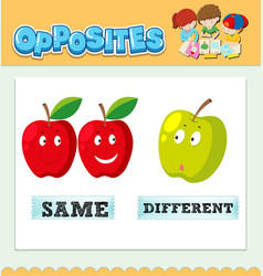Opposite adjectives with same and different Vector Image