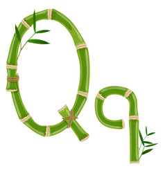 Bamboo eco alphabet Royalty Free Vector Image - VectorStock