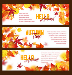 Seamless autumn leaves horizontal banner isolated Vector Image