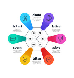 Infographics elements statistics chart option Vector Image