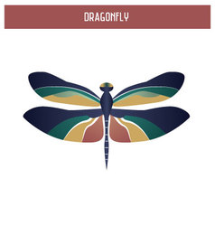 Dragonflies Royalty Free Vector Image - VectorStock