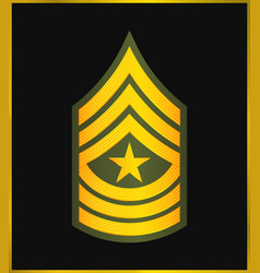 Military ranks stripes and chevrons set army Vector Image