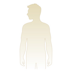 Blank male body template Royalty Free Vector Image