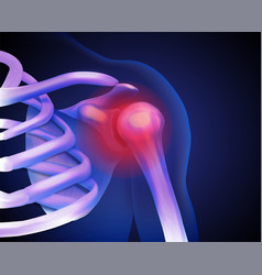 Human skeleton of blue color Royalty Free Vector Image