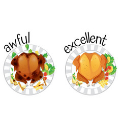 English opposite word awful and excellent Vector Image