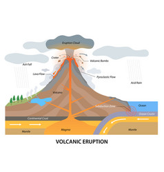 Volcano eruption Royalty Free Vector Image - VectorStock
