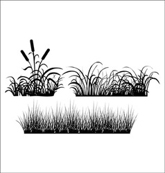 Decorative lines Royalty Free Vector Image - VectorStock