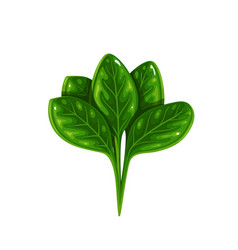 Logo for spinach Royalty Free Vector Image - VectorStock