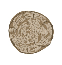 Tree trunk rings texture isolated Royalty Free Vector Image