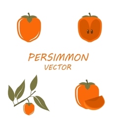 Persimmon fruits 3d realistic icon Royalty Free Vector Image