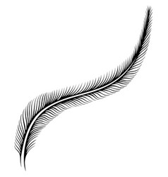 Hand drawn feathers Royalty Free Vector Image - VectorStock