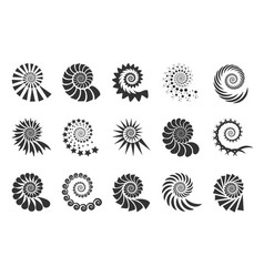 Shell swirl Royalty Free Vector Image - VectorStock