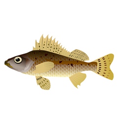 Flying fish Royalty Free Vector Image - VectorStock