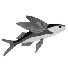 Flying fish Royalty Free Vector Image - VectorStock