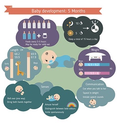 Child development infographics Royalty Free Vector Image